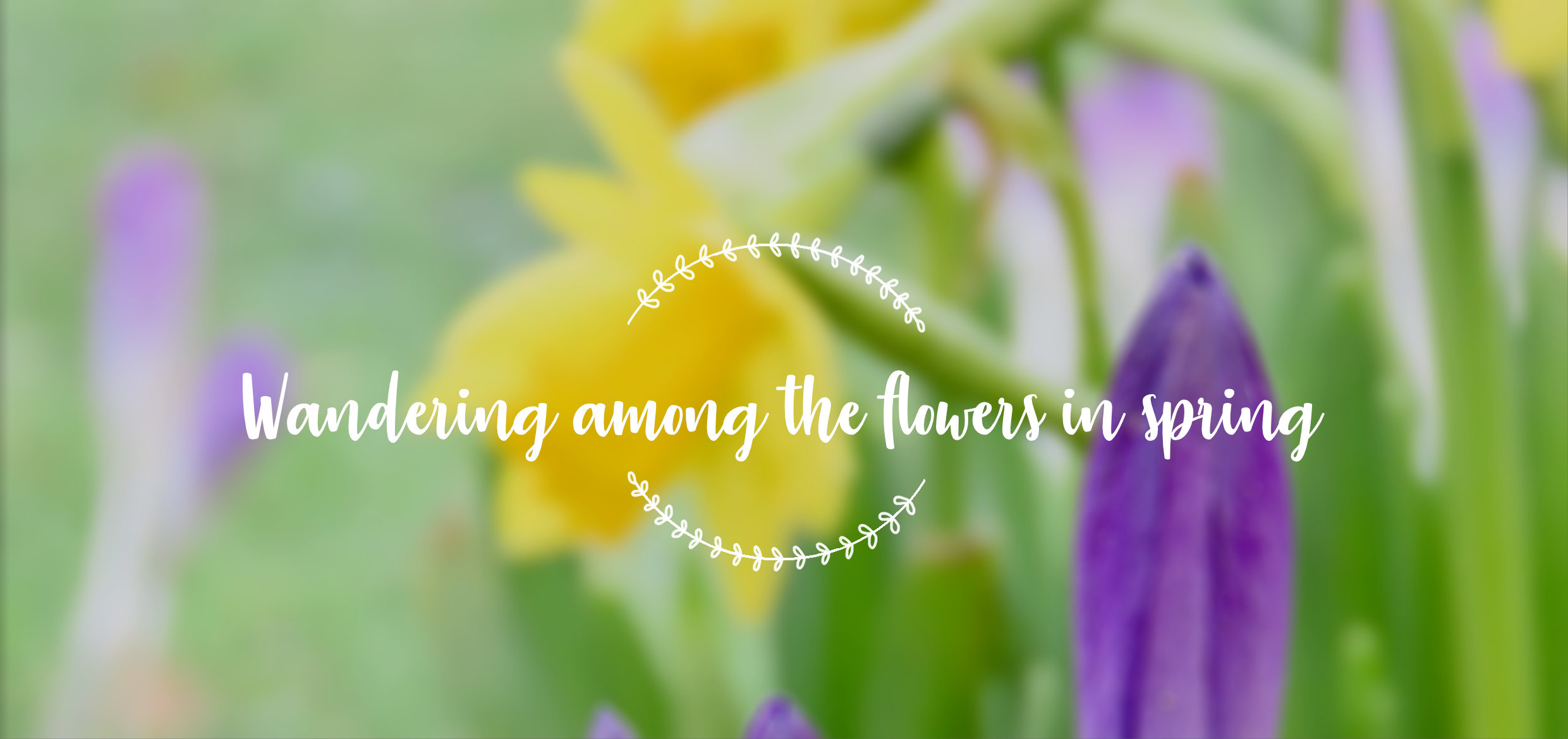 Wandering among the Spring Wildflowers – ArtyMissK