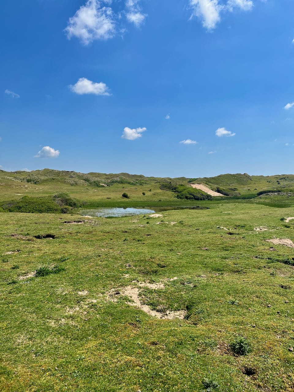 Exploring Penhale Dunes {Landscapes and butterflies} – ArtyMissK