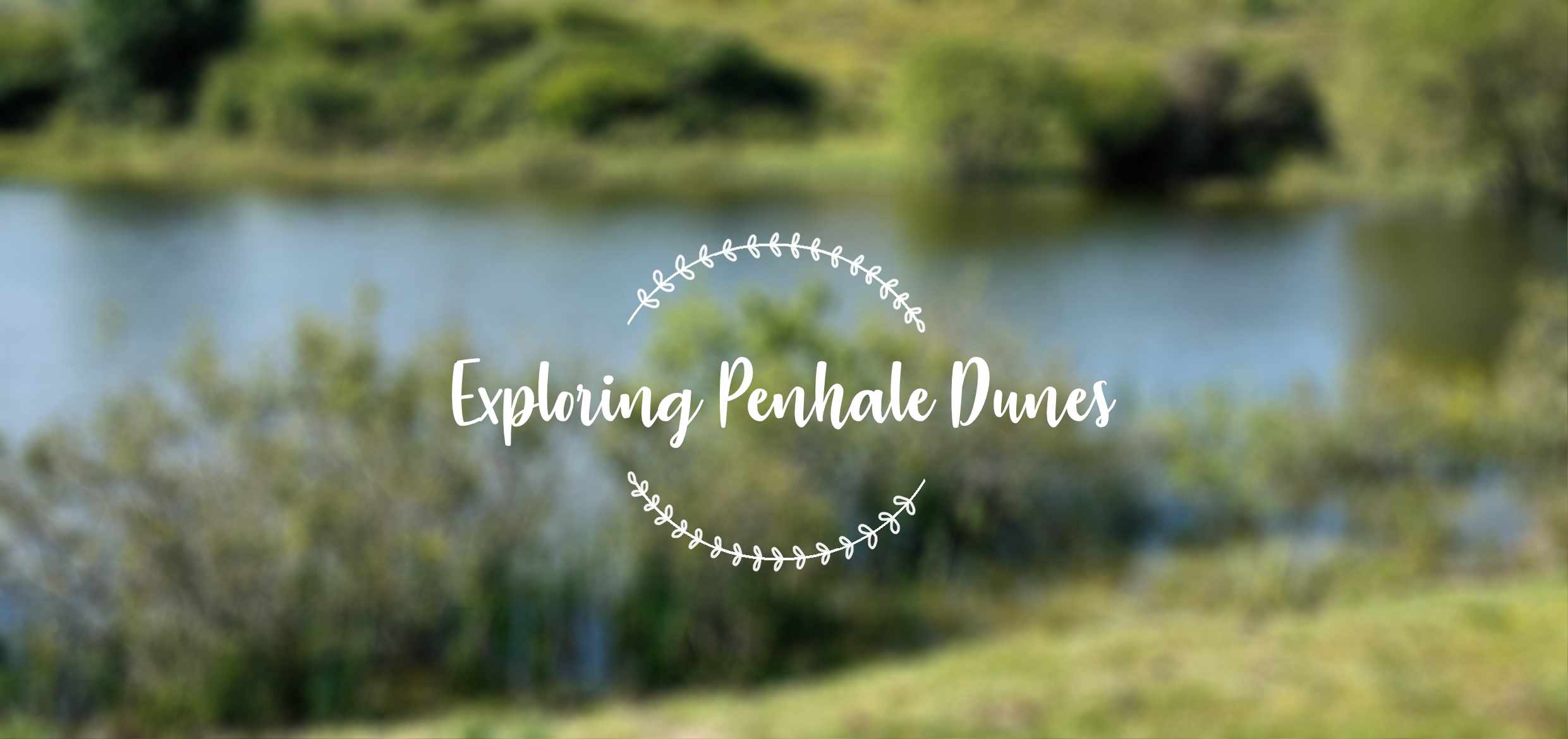 Exploring Penhale Dunes {Landscapes and butterflies} – ArtyMissK